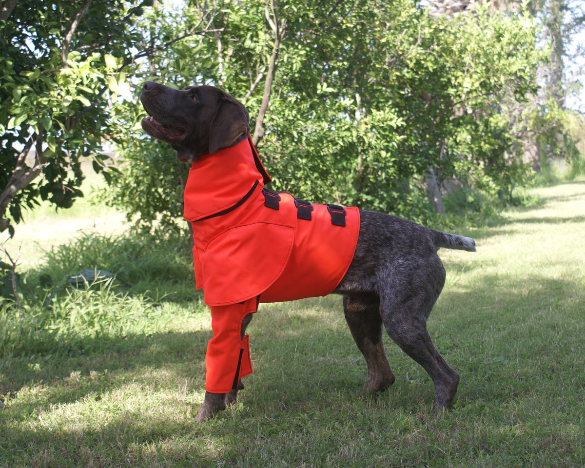 Freedom Dog Chaps® – Hilsport