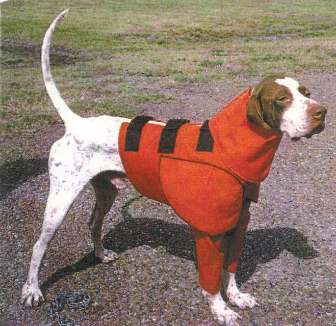 Freedom Dog Chaps® – Hilsport